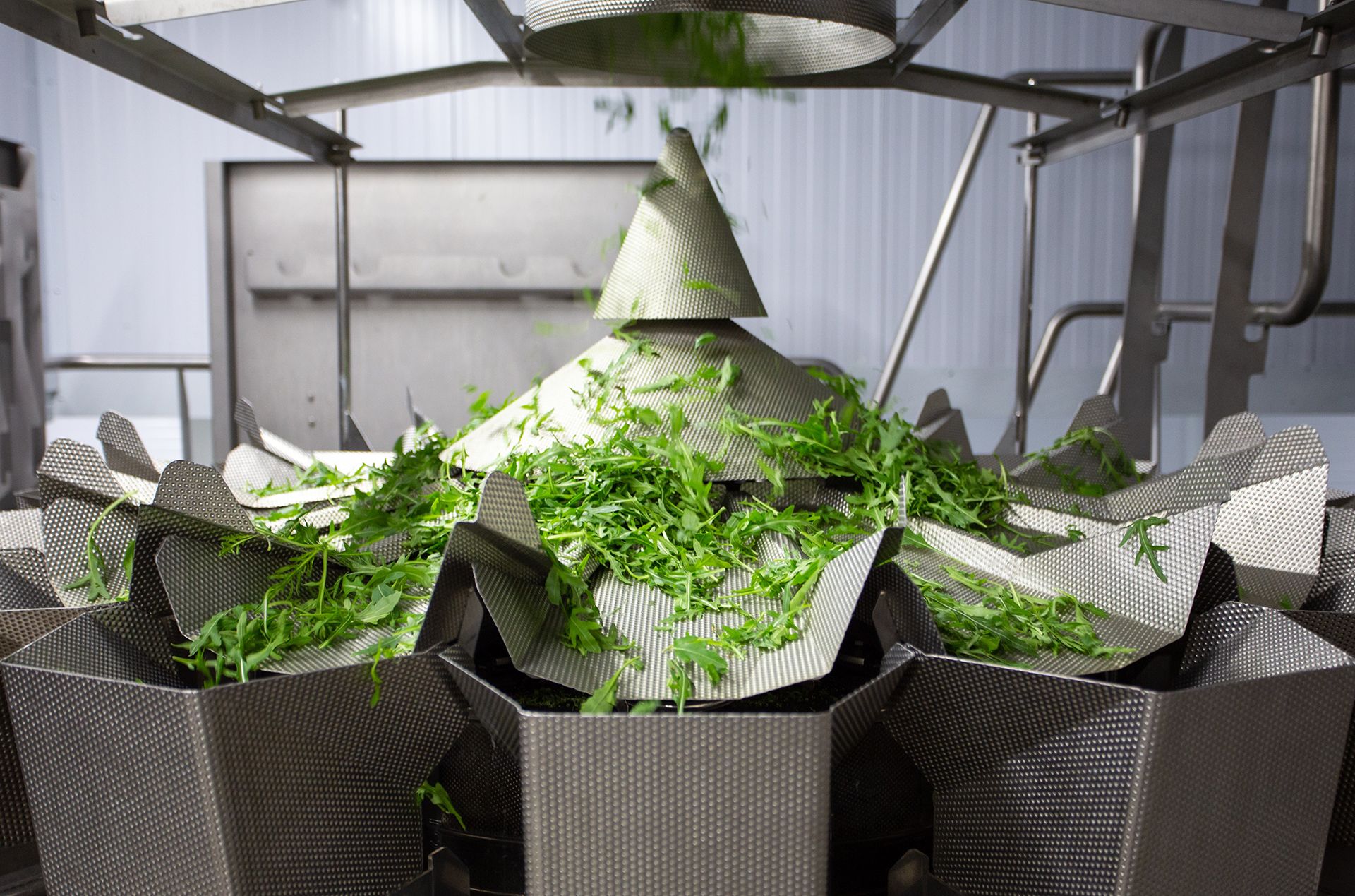 Organization of the process in our enterprise - TEPCO GROUP